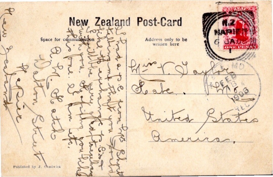 new zealand napier cathedral postcard 1908 | eBay