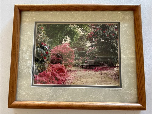 Framed Photo Art “Garden Peace” England UK Signed Front & Back D ...