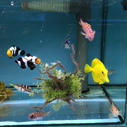 Fish Tank Decorations Small Aquatic Aquarium Figurines Fake Twig | eBay UK