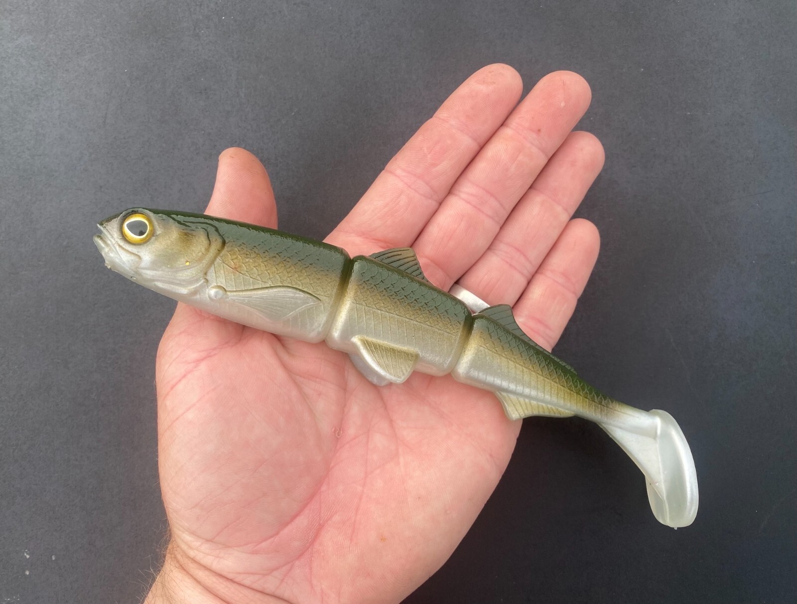 Mulloway jewfish Soft plastic lure Murray cod large fishing swimbait | eBay