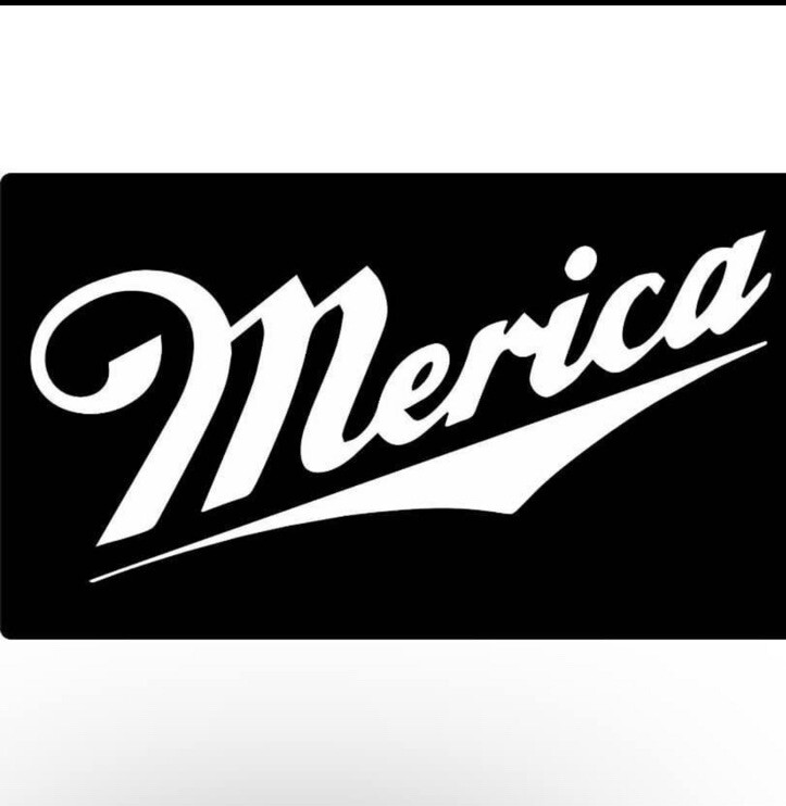 7" MERICA funny America USA Flag Vinyl Decal Sticker Car Truck Window ...
