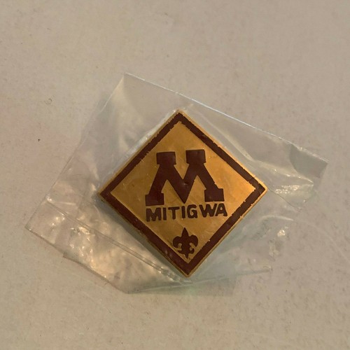 Vintage BSA Boy Scouts Of America Mitigwa Hat Pin | eBay