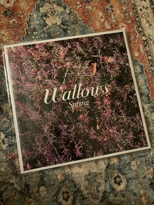 Spring by Wallows-Pink and Green Vinyl 75678657641 | eBay