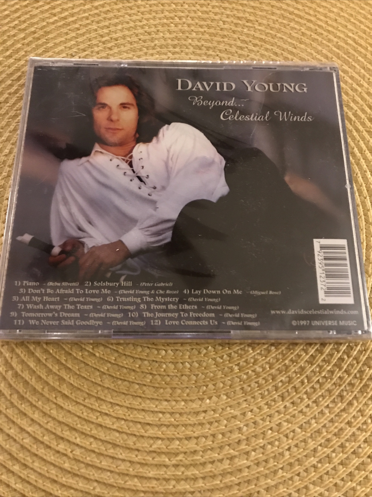 New! DAVID YOUNG "Beyond...Celestial Winds" (CD 1997) 12-Tracks ...