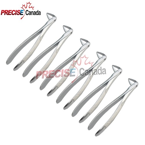 6 PCS EXTRACTING FORCEP # 74N DENTAL INSTRUMENTS | eBay