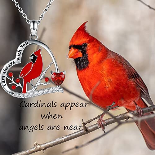 Sterling Silver Red Cardinal Necklace Memorial Pendant Jewelry Gift for ...