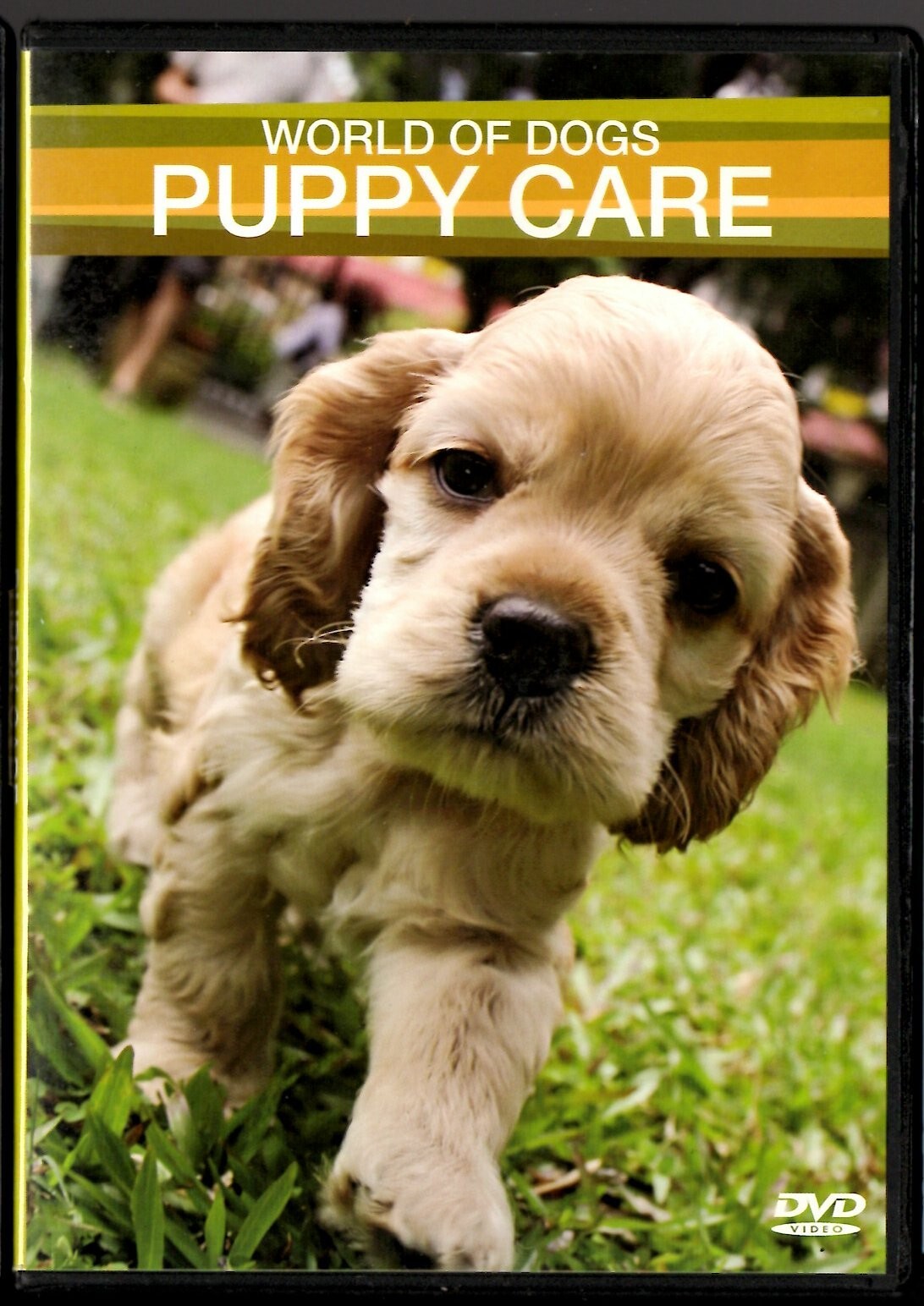 PUPPY CARE DVD Dogs Loving Dogs Cute Dogs Bad Dogs more dogs | eBay
