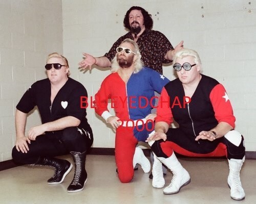 VALIANT BROTHERS & LOU ALBANO WRESTLER 8 X 10 WRESTLING PHOTO WWF | eBay