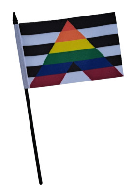 Straight Ally Pride Small Hand Flag (6" x 4") | eBay UK