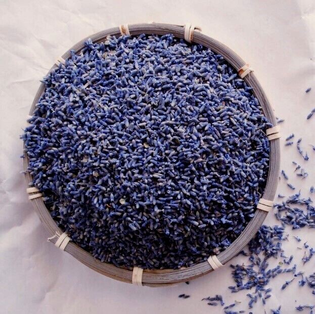 Lavender Organic French Flower Buds ~ Top Grade ~ Fresh Flowers Bulk ...
