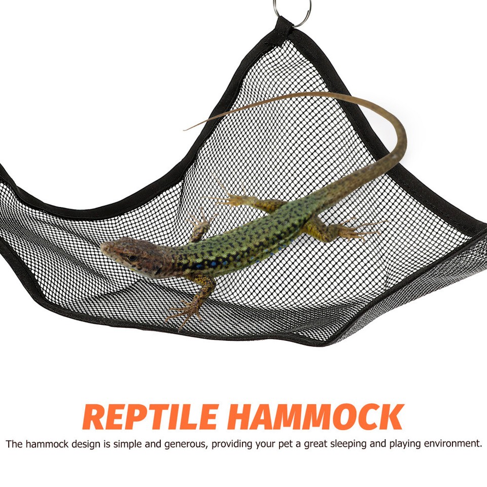 2 Pcs Lizard Hammock Geckos Leopard Tank Toy Pet | eBay