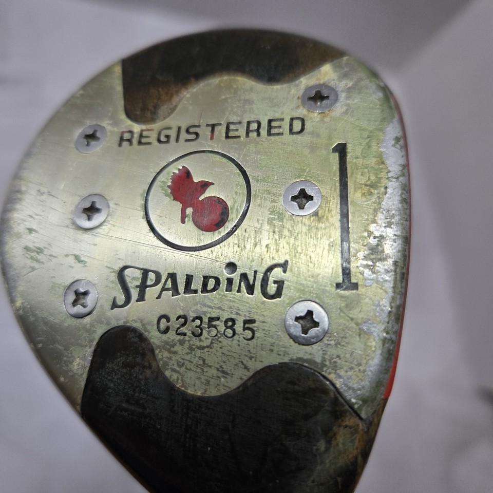Spalding Bird on BallTop Flite Persimmon Driver Wood and Steel RH 43 ...