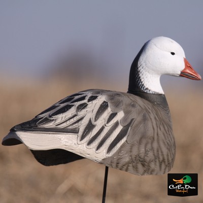 AVERY GREENHEAD GEAR GHG PRO GRADE LIFE SIZE BLUE GOOSE SHELLS ...