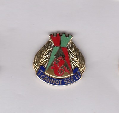 US Army 507th Engineer Battalion ~1.25" DUI crest c/b clutchback badge ...