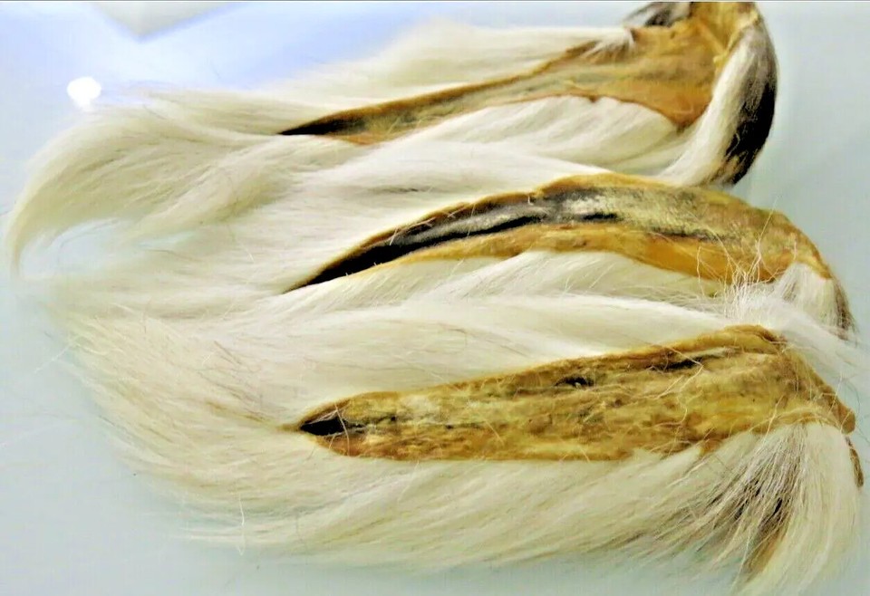 SupplyIt Large Northern Bucktail Natural White Fly Tying Material Deer ...