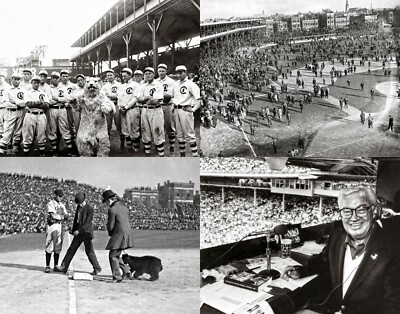 Chicago Cubs 1908 World Series Champions Mascot Team 48x36-8x10 CHOICES ...