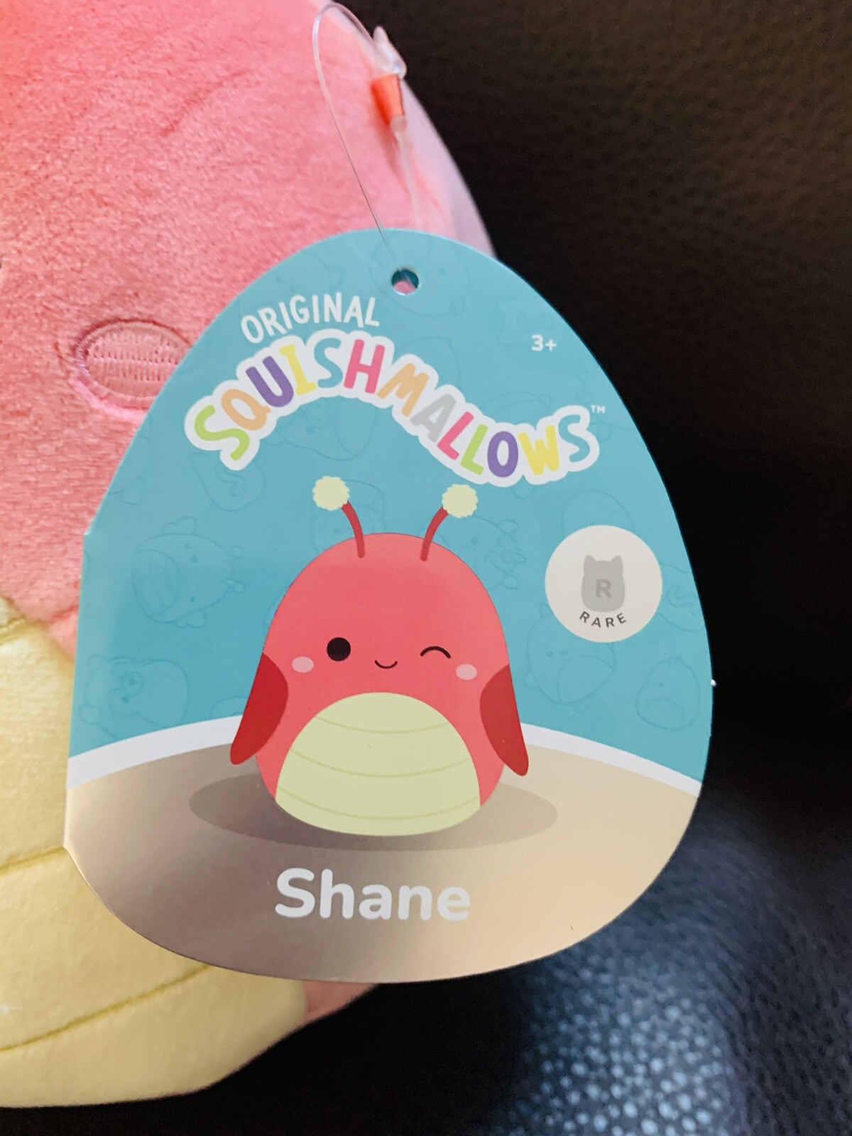 Squishmallow 7-8” Shane Grasshopper RARE SILVER TAG Insect Plush ...