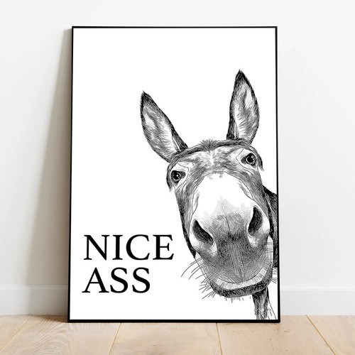 Donkey Nice Ass Wall Art poster Choose your Size | eBay