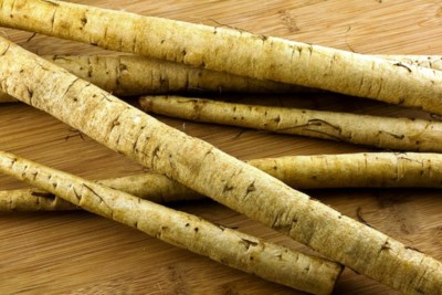 15oz Fresh Burdock Root Gobo Japanese Burdock Free Shipping | eBay