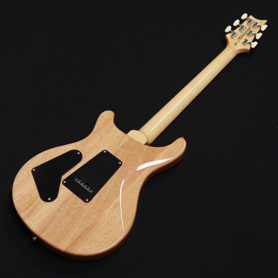 Paul Reed Smith PRS SE Custom24 Slate Blue 2025 New Color | eBay