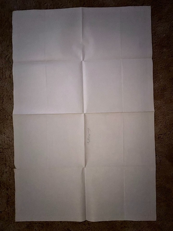 Butterfly 1981 Movie Poster 27x41 Stacy Keach Orson Welles | eBay