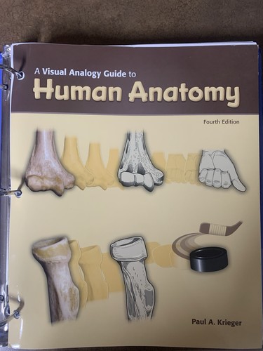 Visual Analogy Guide to Human Anatomy, 4e by Paul A. Krieger (2017 ...