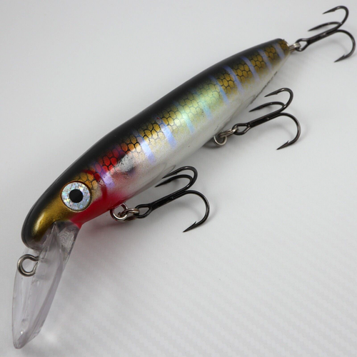 8" JOE BUCKER DEPTH RAIDER SHIMR'N SHAD Musky Pike Crankbait Lure | eBay