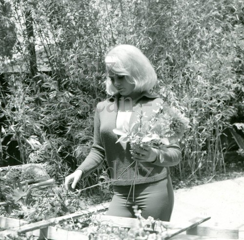 1960s Photo-sexy blonde pinup girl Bonnie Parrish-cheesecake t801619 | eBay