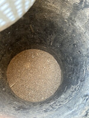 Chicken Litter, Manure, Fertilizer 5lbs Fine Powder Filtered Clean | eBay