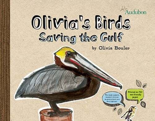 Olivia's Birds: Saving the Gulf by Olivia Bouler: New 9781402786655| eBay