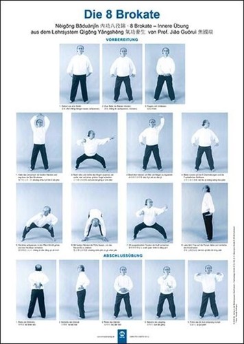 Die 8 Brokate Poster | LiZhenlian | Deutsch | Poster | 1 S. | 2020 ...