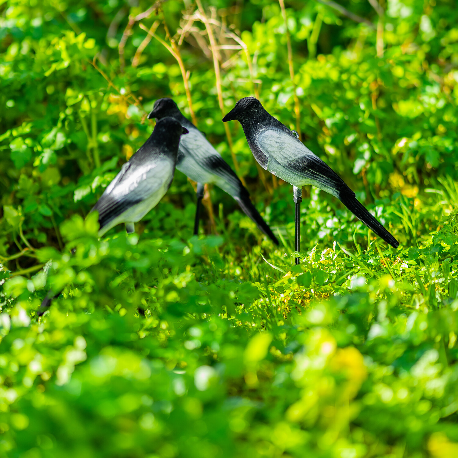 Nitehawk Full Body Flocked Shooting/Hunting Magpie Decoy With Stake ...