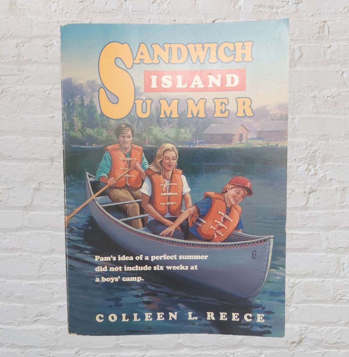 "Sandwich Island Summer" By Colleen L. Reece 9780828006644| eBay
