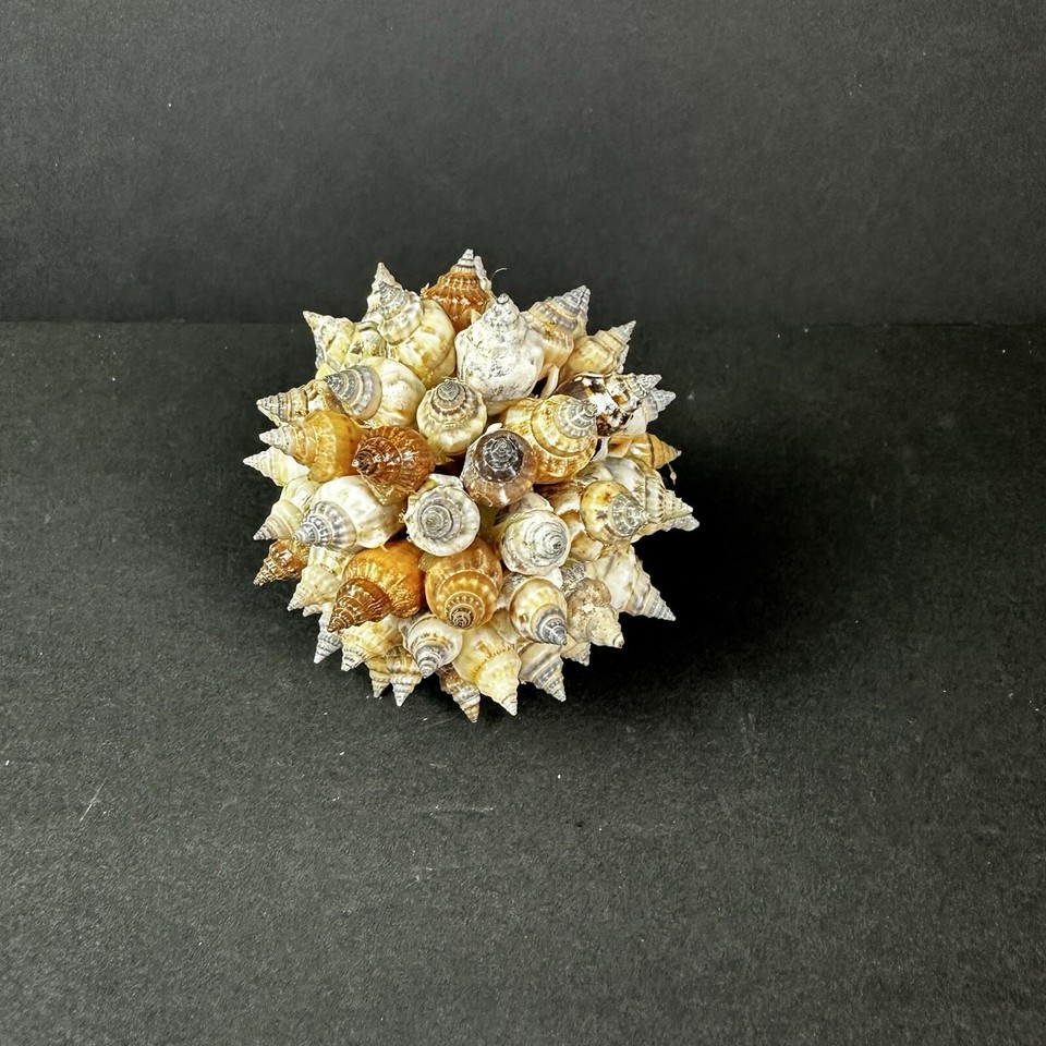 EUC Sea Shell Orb Nautical Beach Ocean Decor Piece | eBay