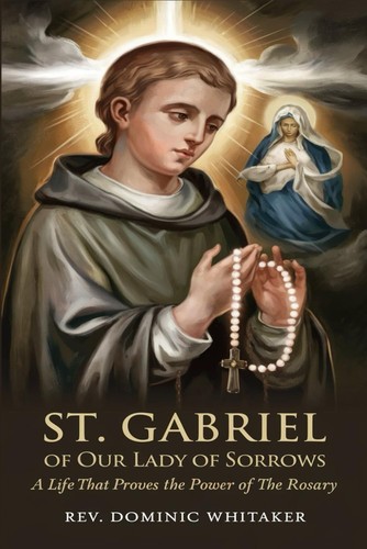 Dominic Whitaker St. Gabriel of Our Lady of Sorrows (Paperback) (US ...