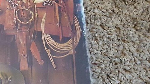 Rex Gildo in Südamerkia/ Viva la fiesta Vinyl LP SUNG IN SPANISH | eBay ...