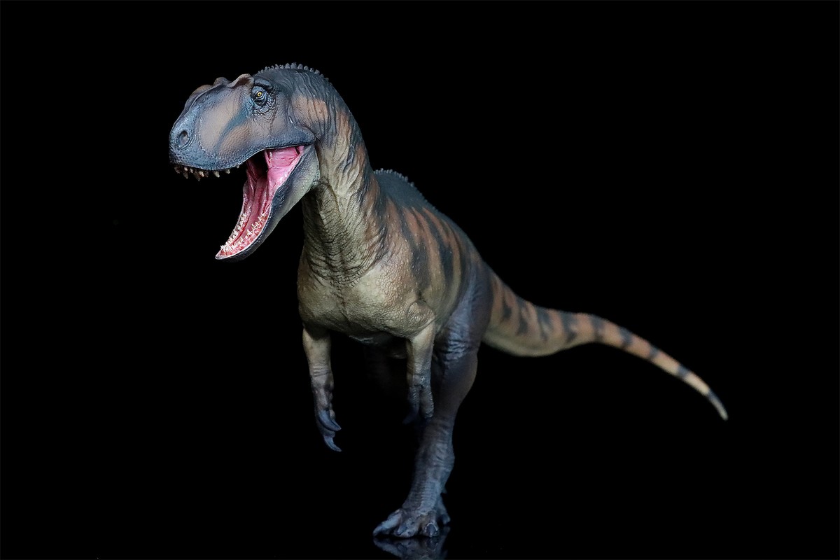 Tren De Dinosaurios Yangchuanosaurus