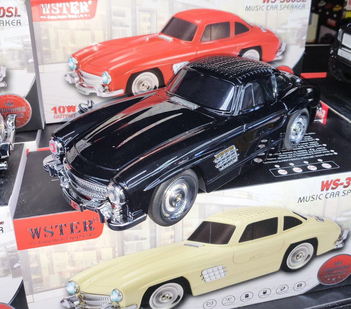 bluetooth speaker WSTER Music CAR WS-300S 2Lb 10”6” Fm Radio USB ...