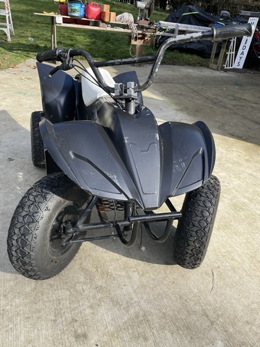 razor dirt quad 500 | eBay