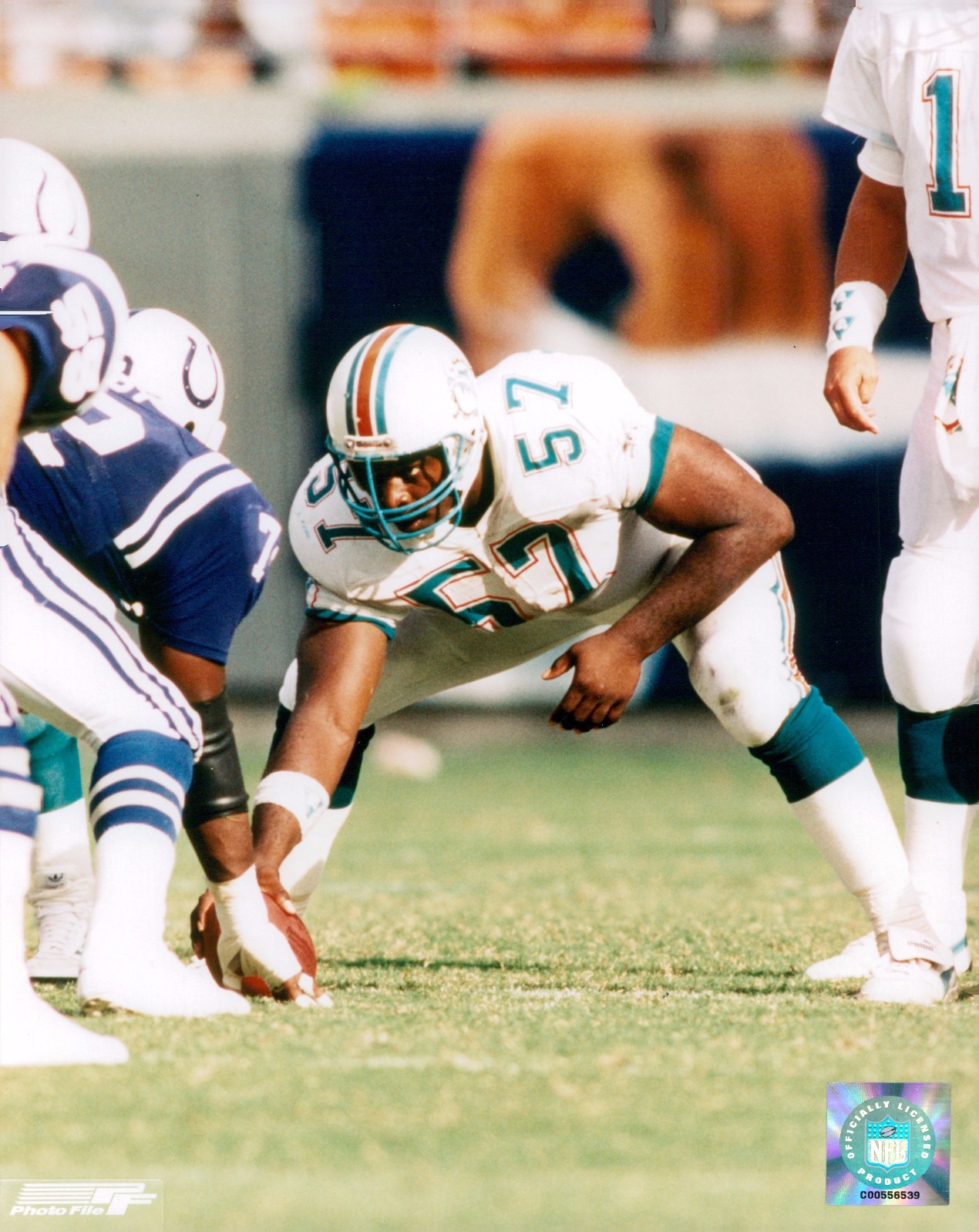Dwight Stephenson Miami Dolphins Licensed Unsigned Glossy 8x10 Photo ...
