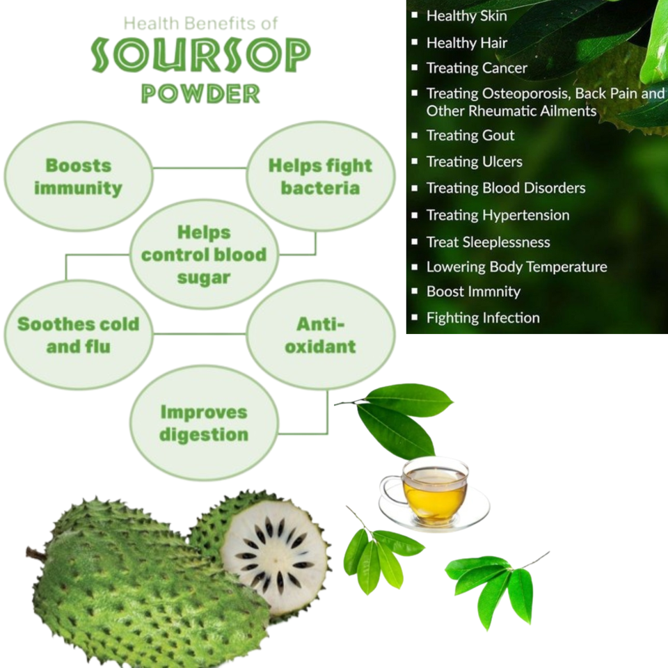 Dried Soursop Leaf Powder Guanabana Graviola Annona Muricata 100% ...