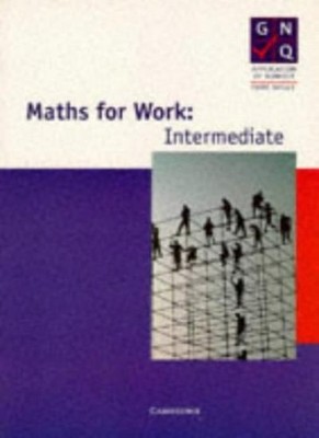 Maths for Work: Intermediate (SMP GNVQ Mathematics) By School Ma ...