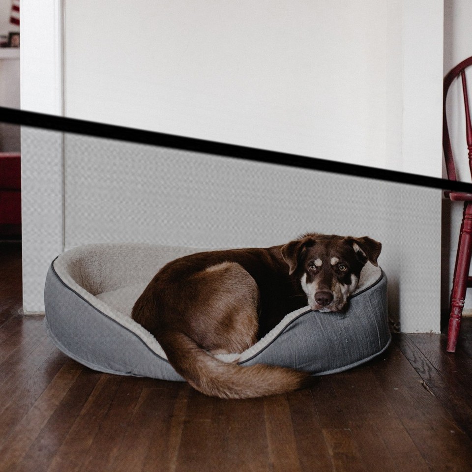 Child Fence Door Baby Gate No Drilling Railing Safety Net for Proofing ...