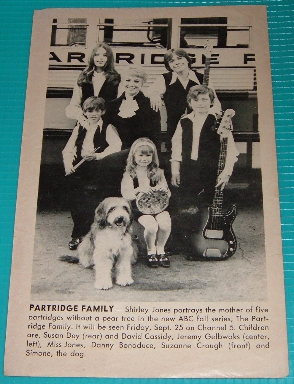 Danny Partridge In A Pear Tree