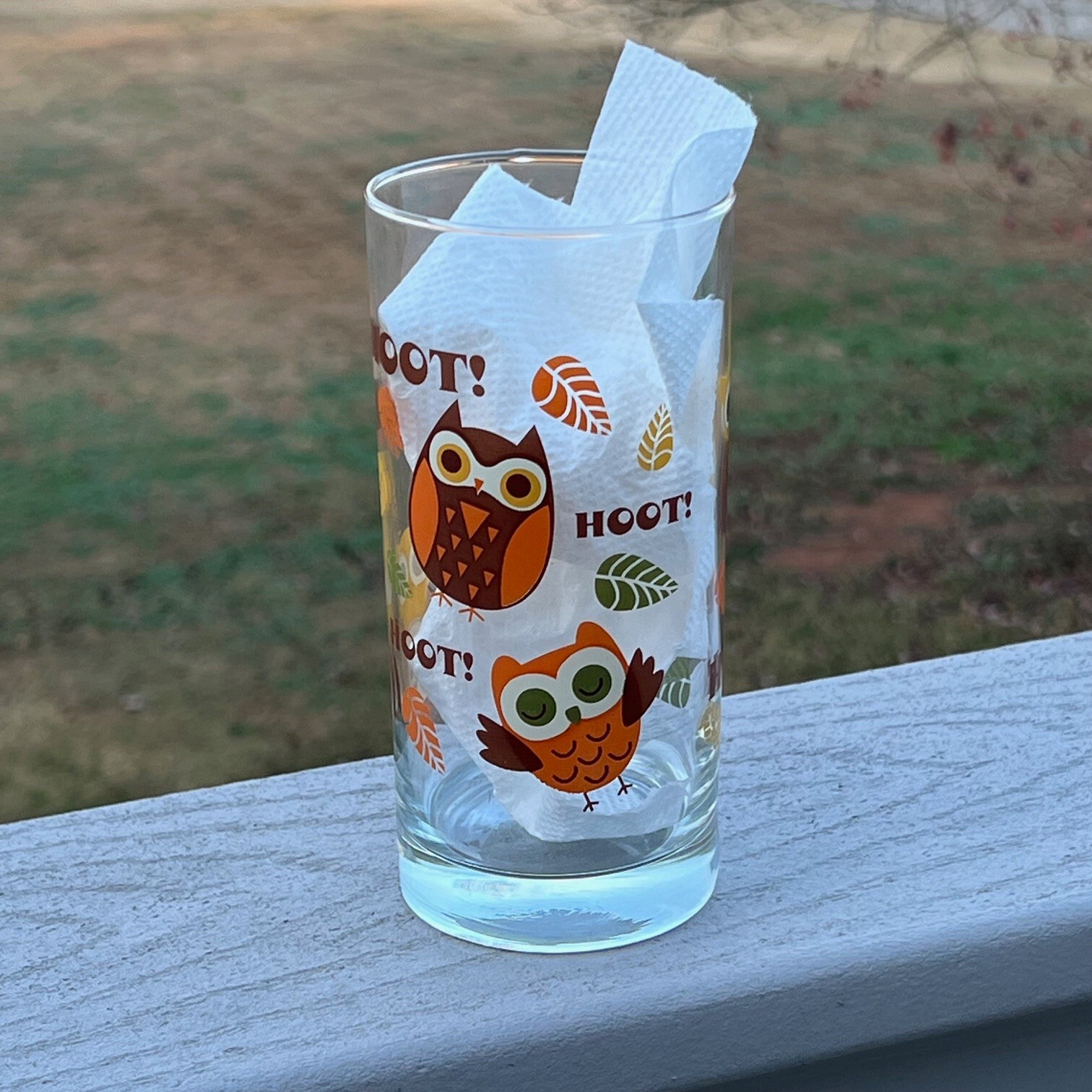 Vintage Hoot! Brown Orange Yellow Owls Leaves Tall Tumbler Drinking ...