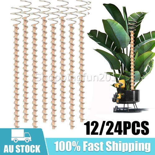 12/24PCS Electroculture Garden Copper Coils Plant Support Stake for ...