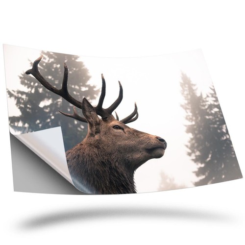 1 x Vinyl Sticker A2 - Majestic Stag Animals Wild #8593 | eBay
