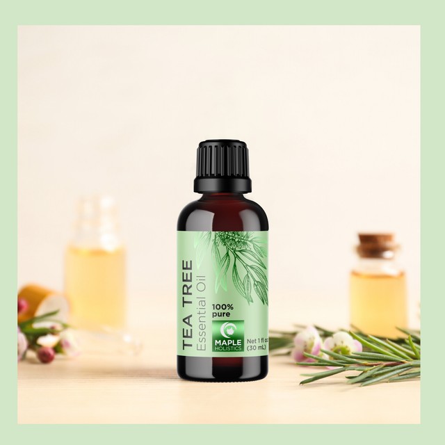Maple Holistics 100% Pure Tea Tree Essential Oil 1oz. for sale online ...