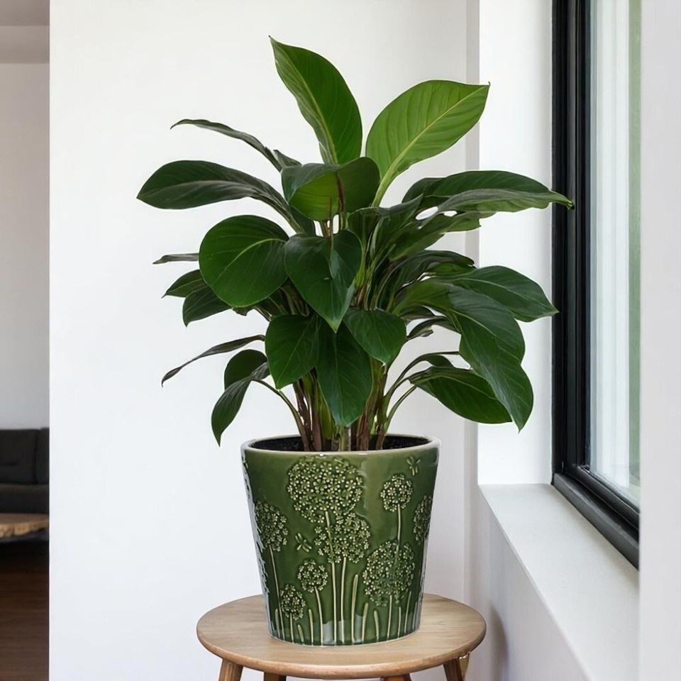 Ceramic, Cement Plant Pots, Cache Pot, Planters - Indoor. Small, Medium ...