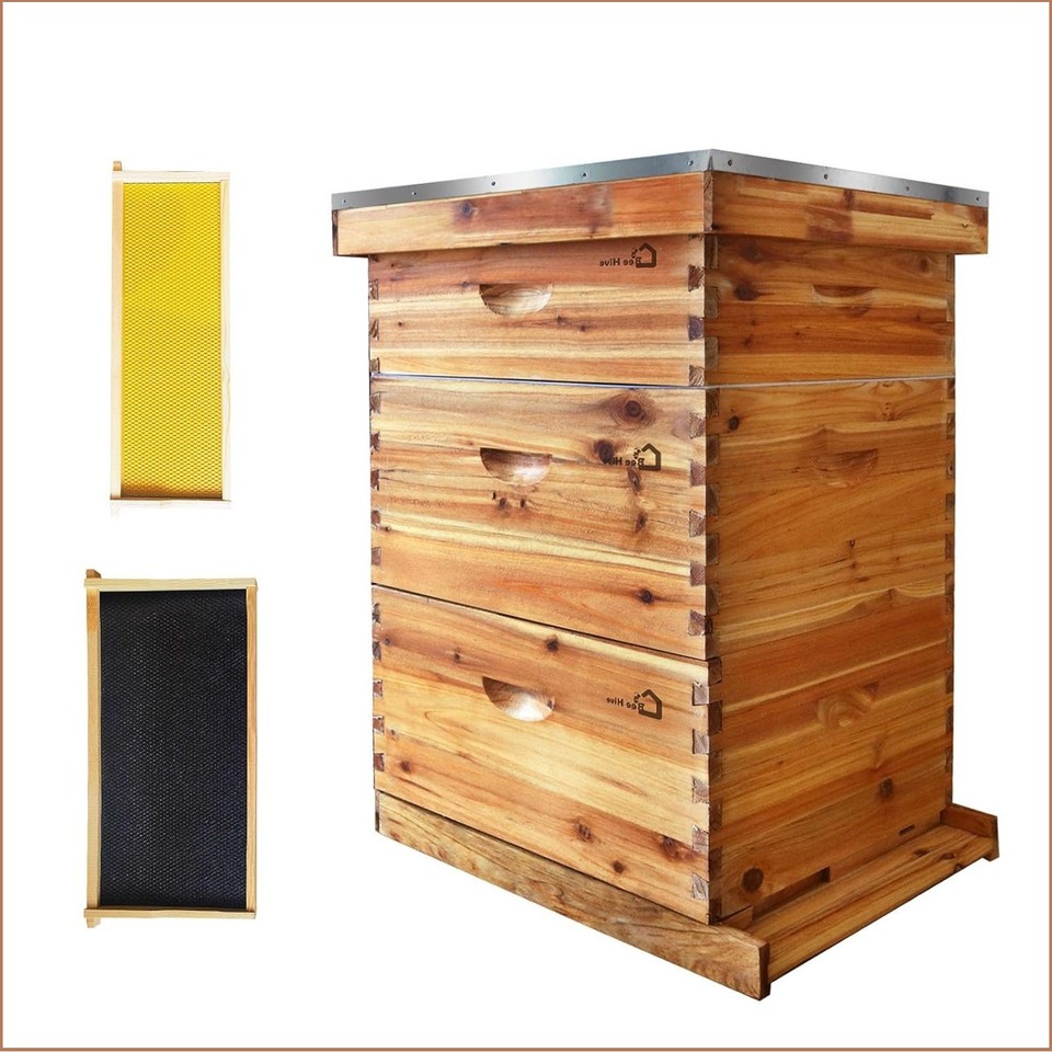 10-Frame Complete Bee Hives Includes 2 Deep Hive Bee Box and 1 Bee Hive ...